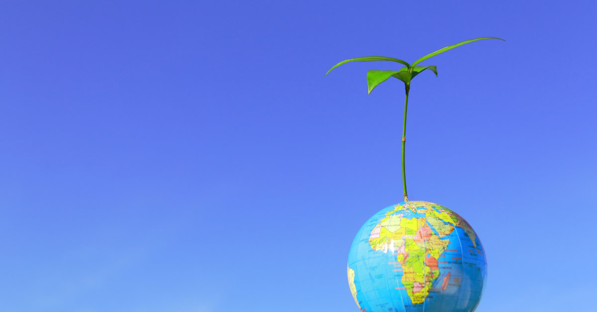 What are Green Data Centers | LightWave Networks